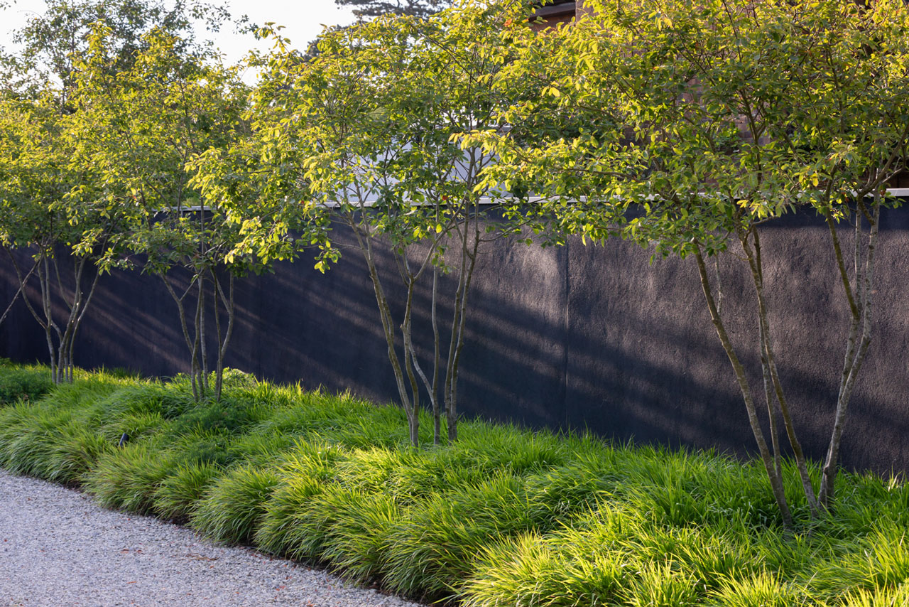 Cambridgeshire Garden | A modern English country garden