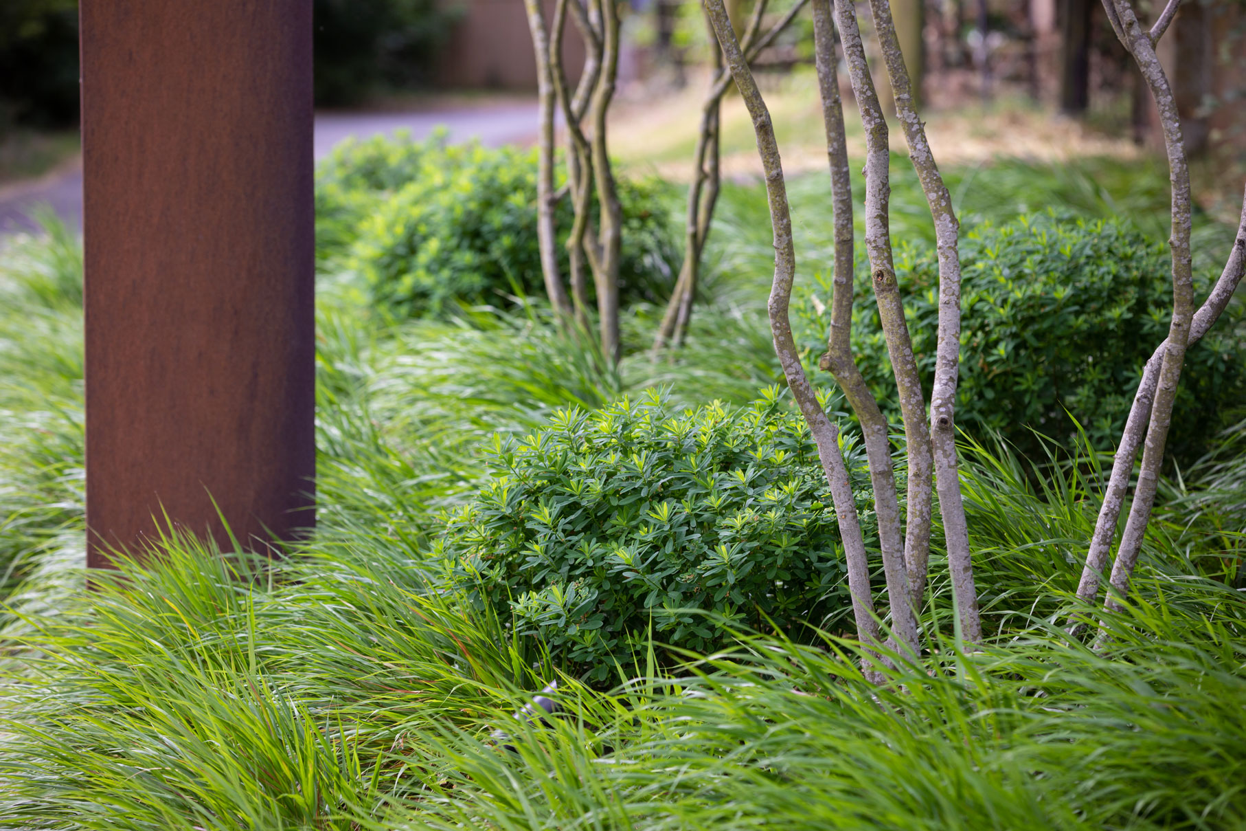 Cambridgeshire Garden | A modern English country garden